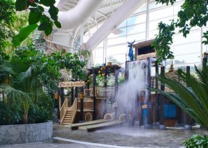 Which Center Parcs is the Best? Our Top Picks for 2024