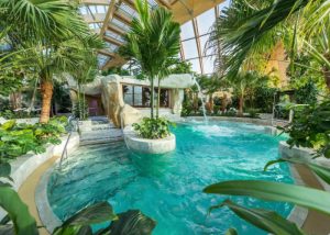 Best Center Parcs in Europe: Find the Perfect One for Your Family